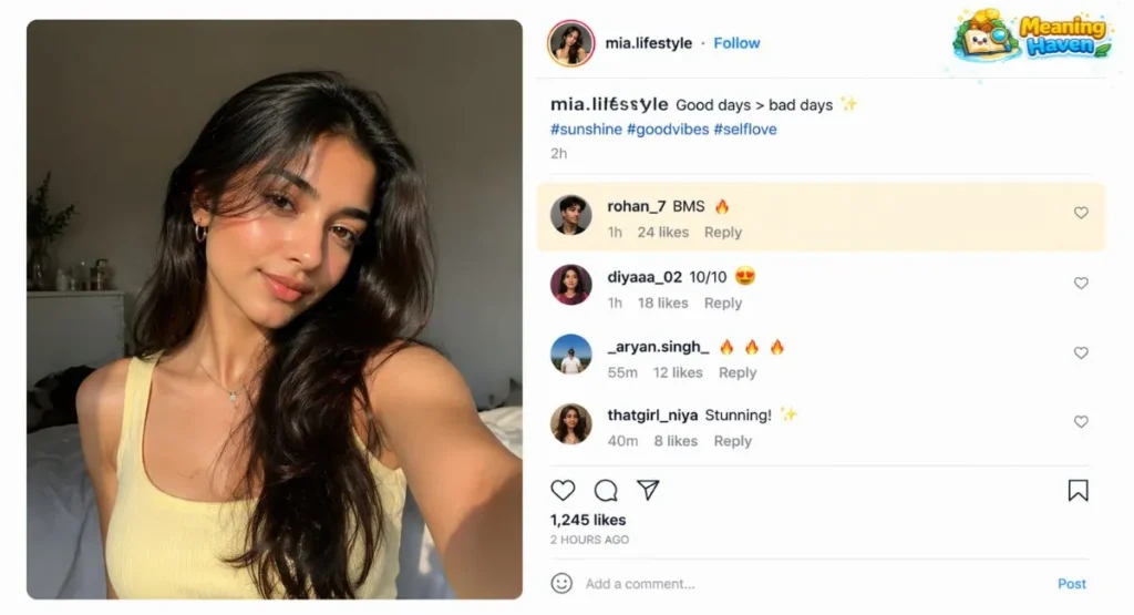 BMS Meaning Slang: What Does BMS Mean in Text and Social Media?
